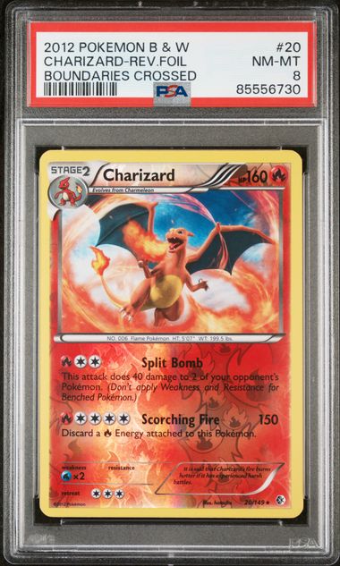 Graded Charizard Pokemon Cards
